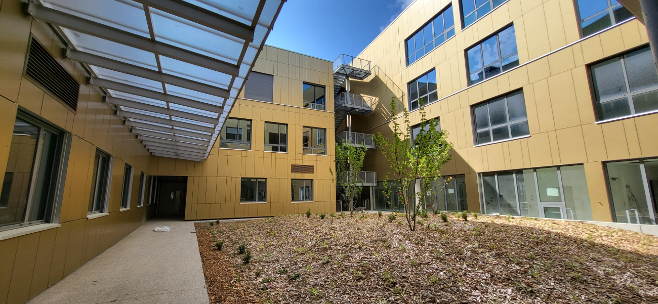 CHRU BREST - Liziard